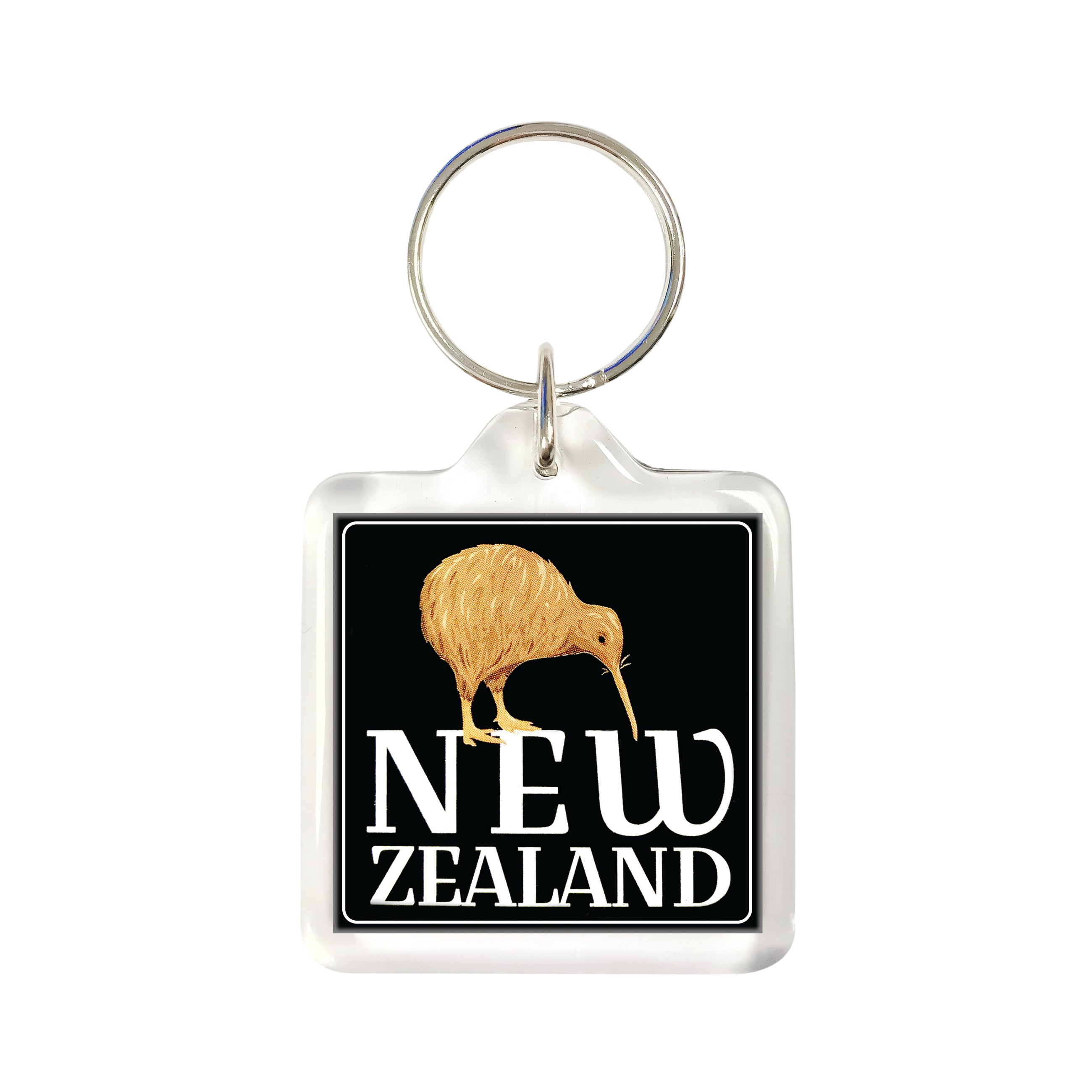 312K - Keyring Acrylic Realistic Kiwi – Parrs Products